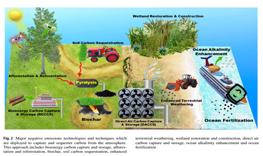 Environment and Geography Skills Hub