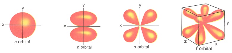 Environment and Geography Skills Hub