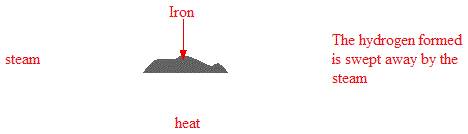 Environment and Geography Skills Hub