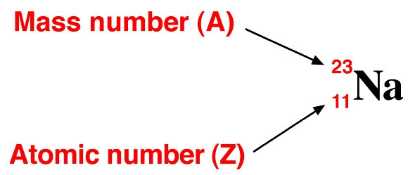Environment and Geography Skills Hub
