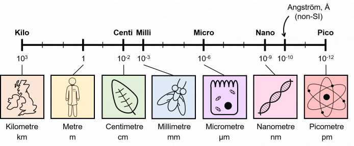 Biology Biochemistry and Chemistry applications