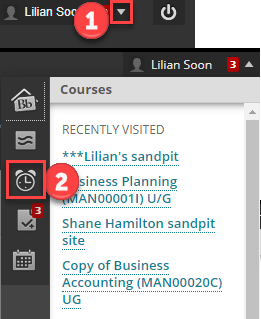 Student guidance for online learning